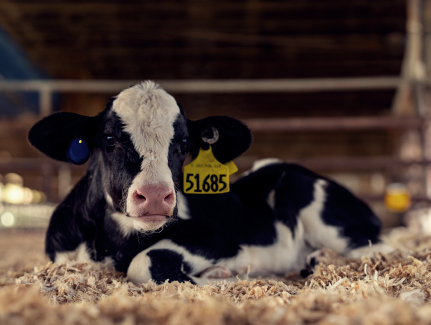 Drafting Gate - SenseHub